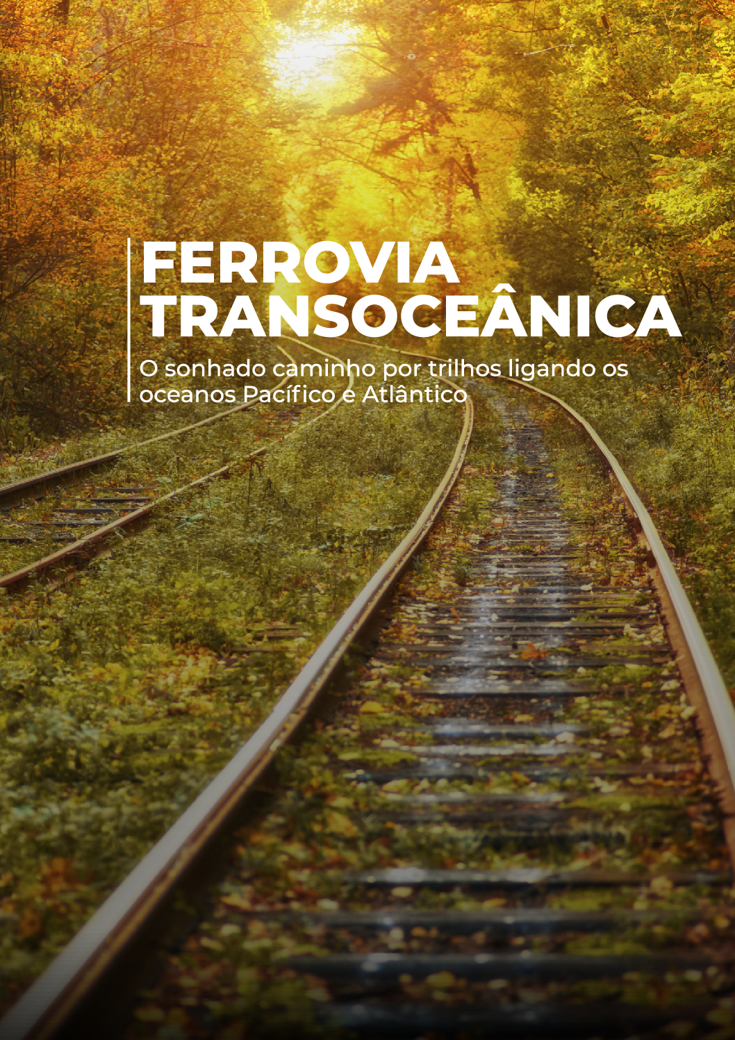 ferrovia-transoceanica - Parlamento Latinoamericano y Caribeño