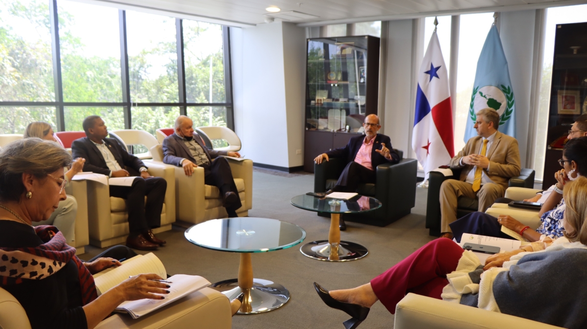 Comisión de 60 Aniversario de Fundación del PARLATINO - Parlamento ...